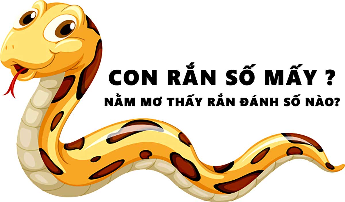 Tham khảo ngay giải mã giấc mơ thấy rắn cắn mình và lô nên đánh